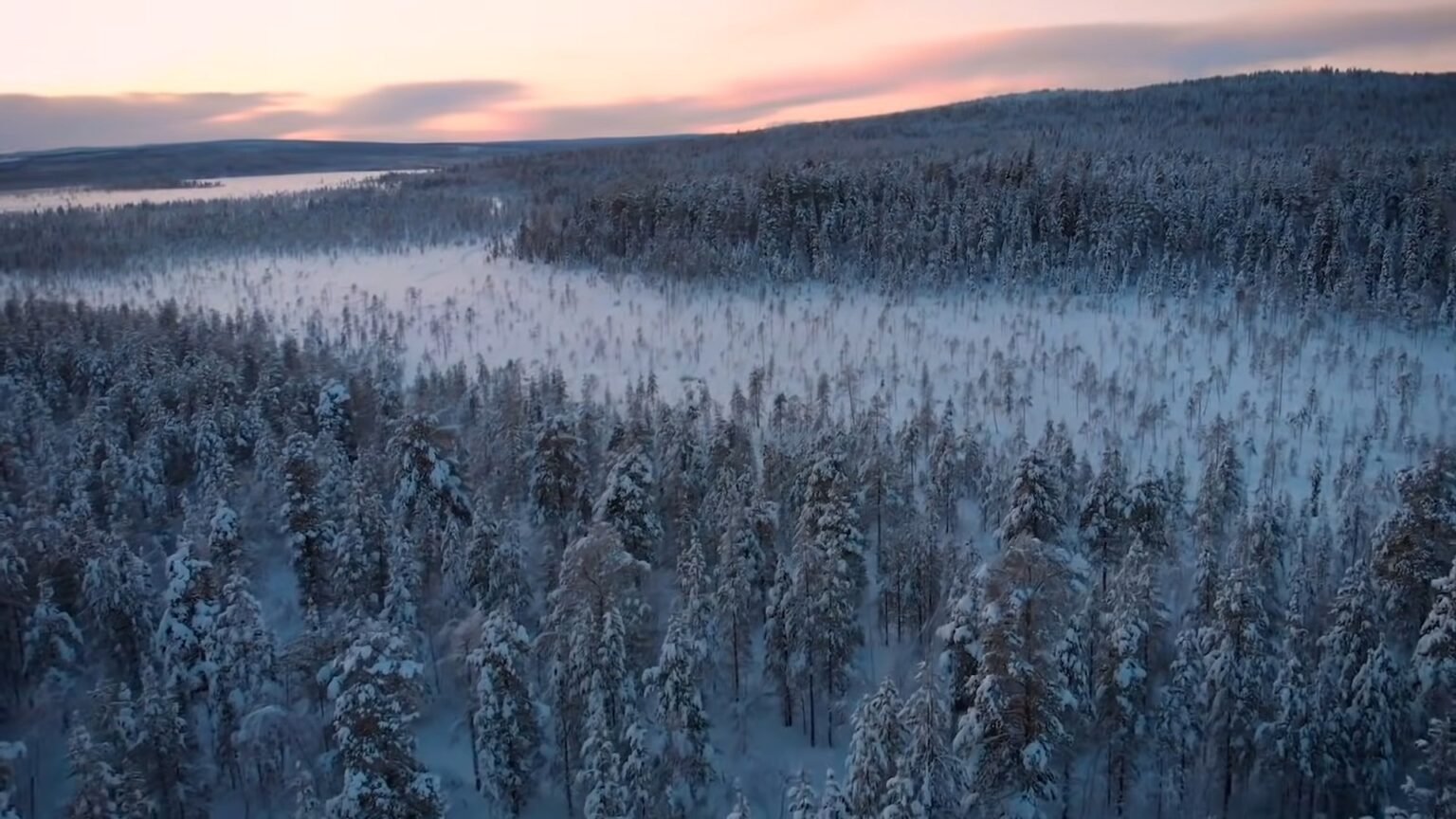 Finland - Forests and Forestry