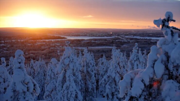Finland - Forests and Forestry