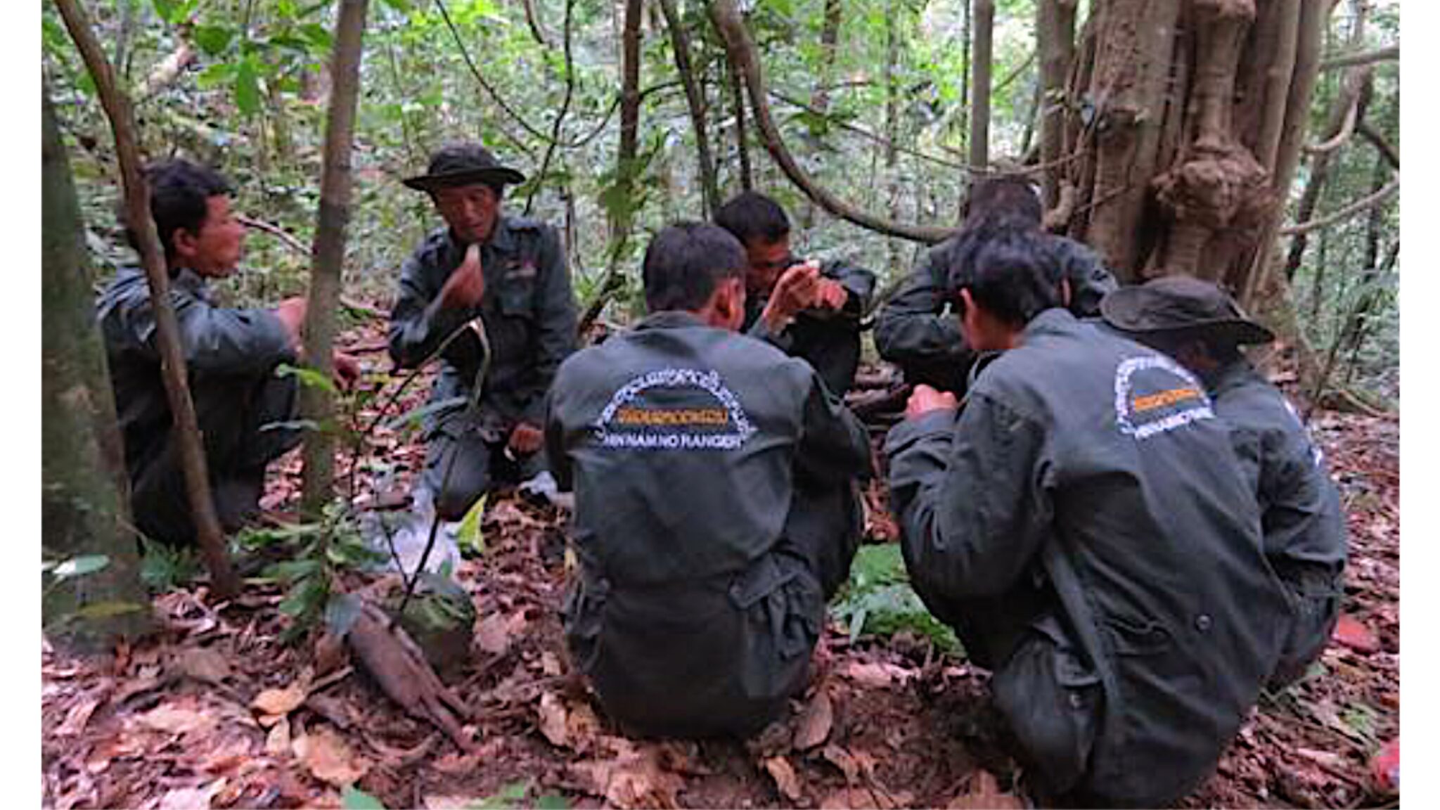 Forest Management in Russia - Boreal Forest