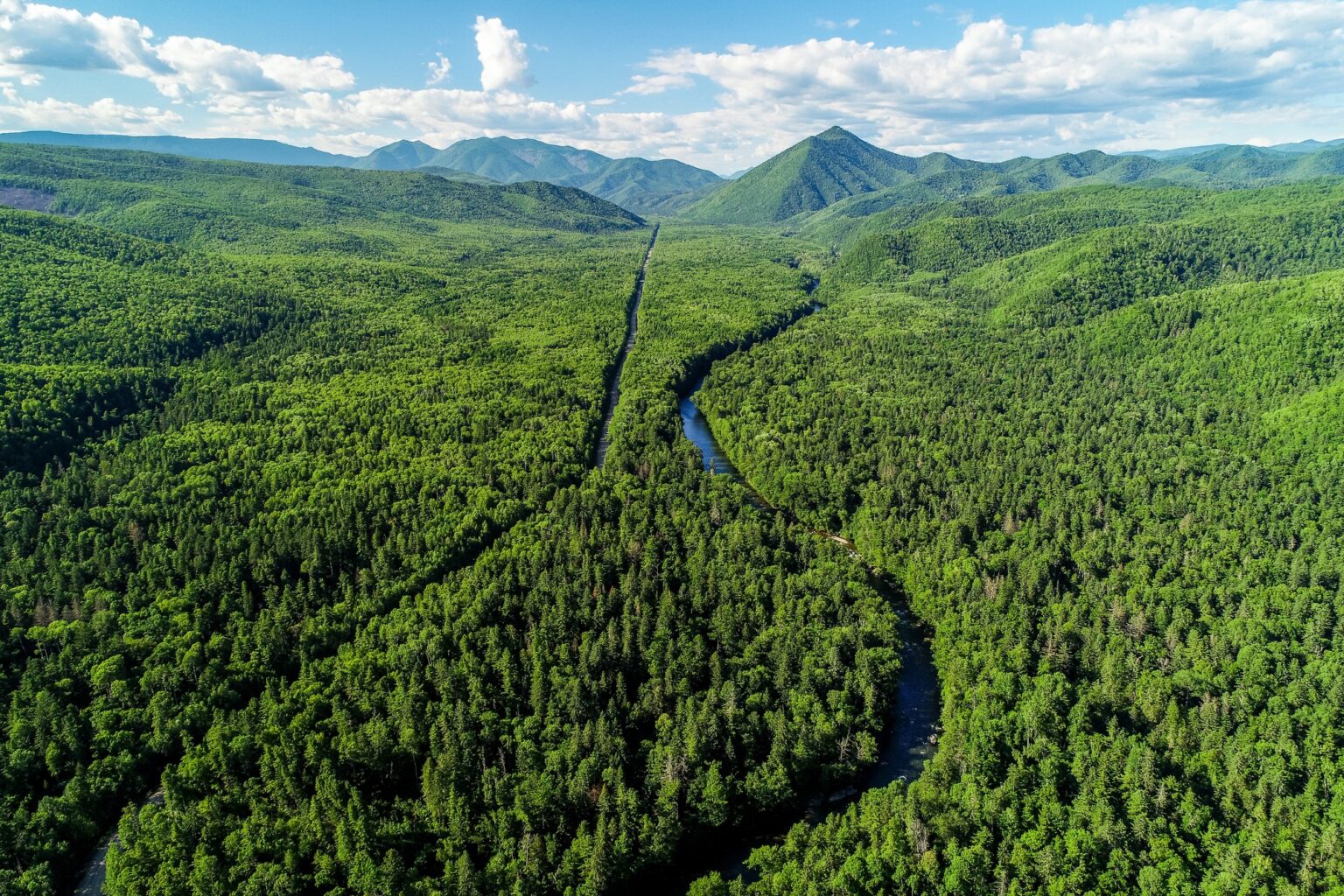 Forest Management in Russia - Boreal Forest