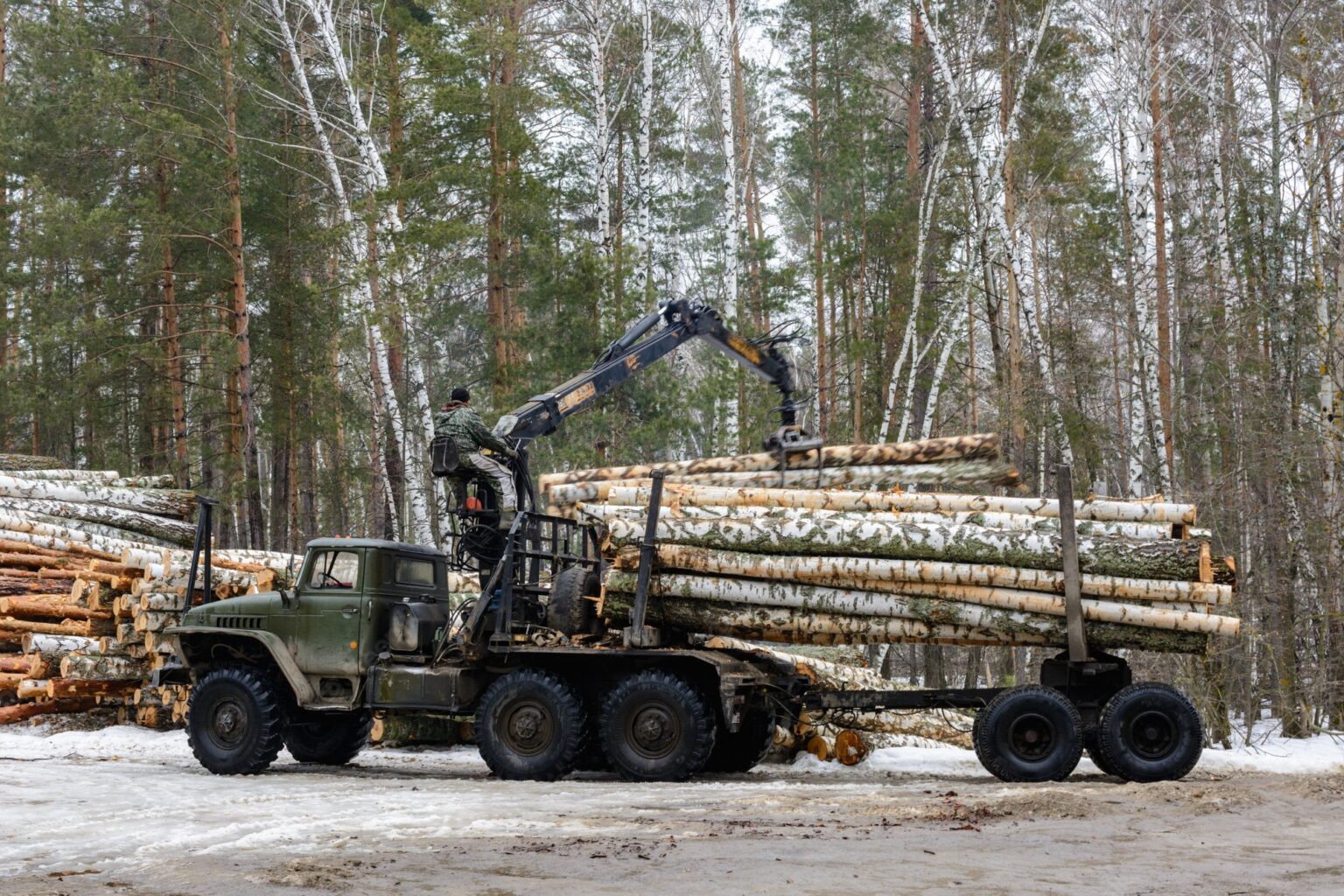 Forest Management in Russia - Boreal Forest