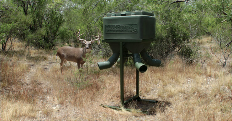 Where To Place A Protein Feeder? Five Tips For Beginner Hunters ...