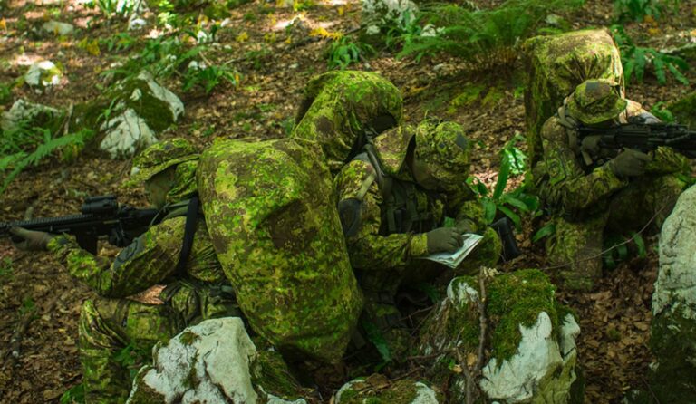 Which Camo Pattern Is the Best? 4 Camouflage Tips for Beginner Hunters ...