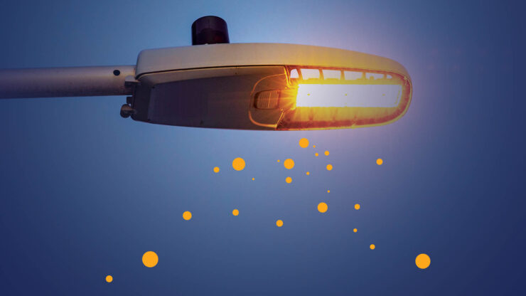 Navigating the Night: Is Hilo Safe for Evening Strolls? - Boreal Forest