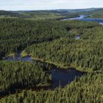 World Boreal Forests - Largest Biome Taiga