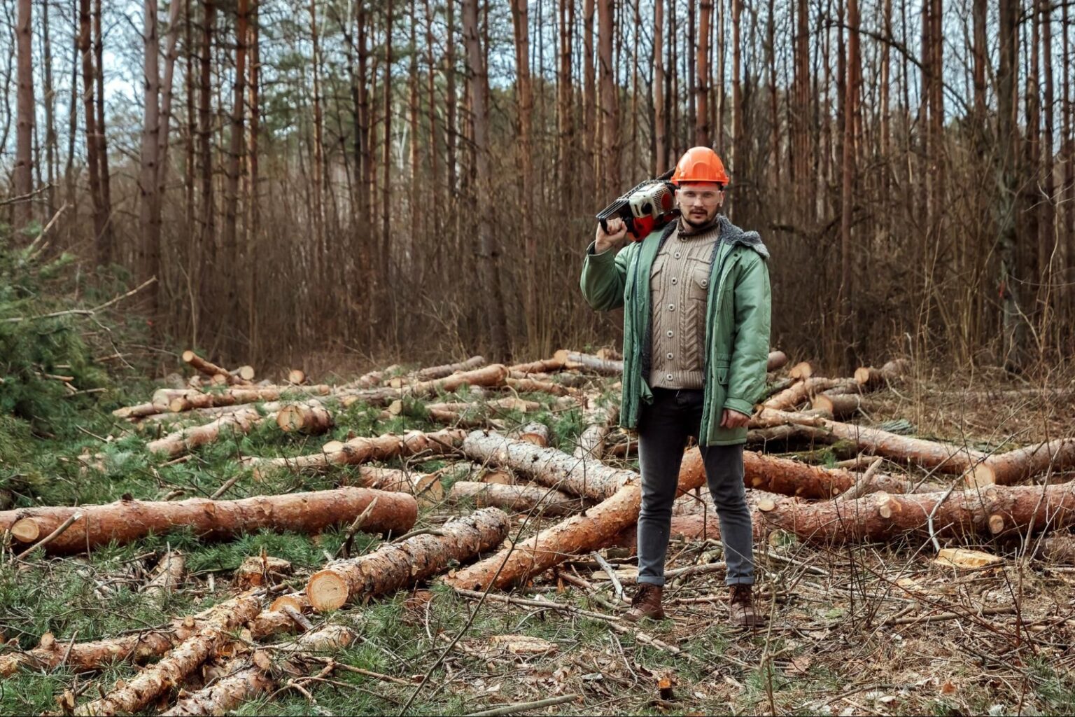 Sustainable Forestry: Selective Cutting As A Way To Preserve Forests ...